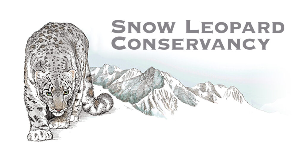 Human - Snow Leopard Conflict and Conservation Education - Snow Leopard