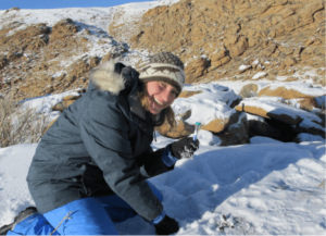 The Snow Leopard - Snow Leopard Conservancy