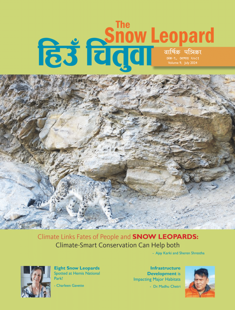 Blog Archives - Snow Leopard Conservancy