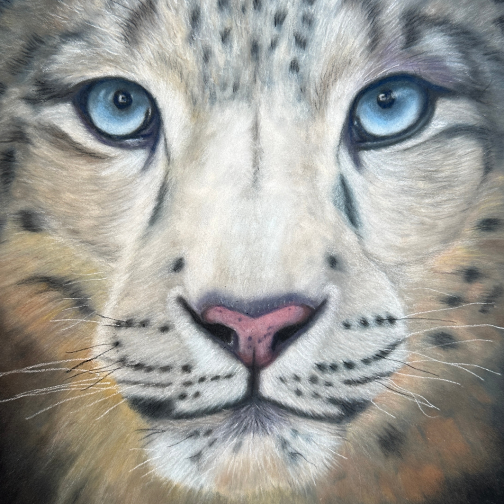 Donate and Support - Snow Leopard Conservancy