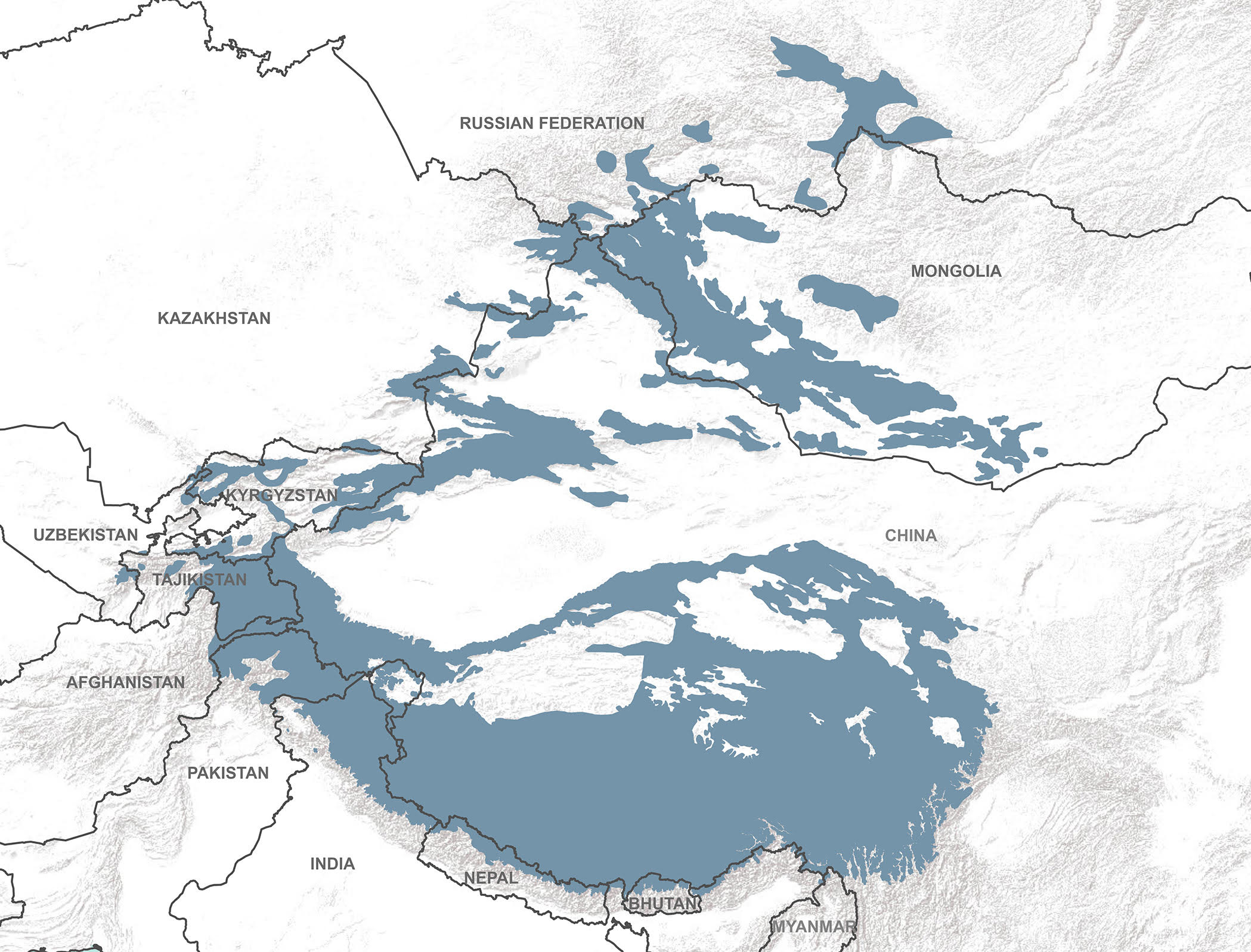 Snow Leopards Habitat The Enigmatic Snow Leopard: Facts, Habitat,