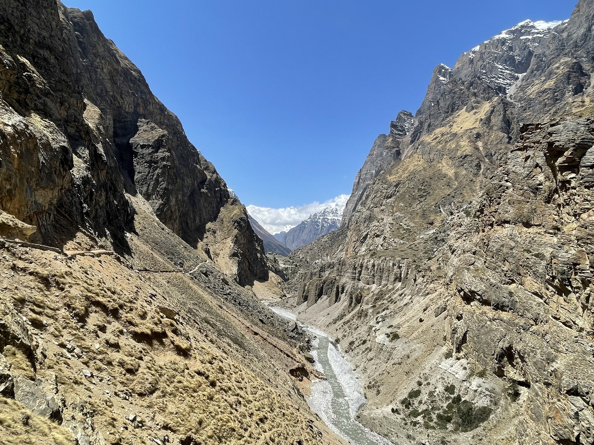 Snow Leopard Conservancy Selected for Darwin Initiative Project - Snow ...