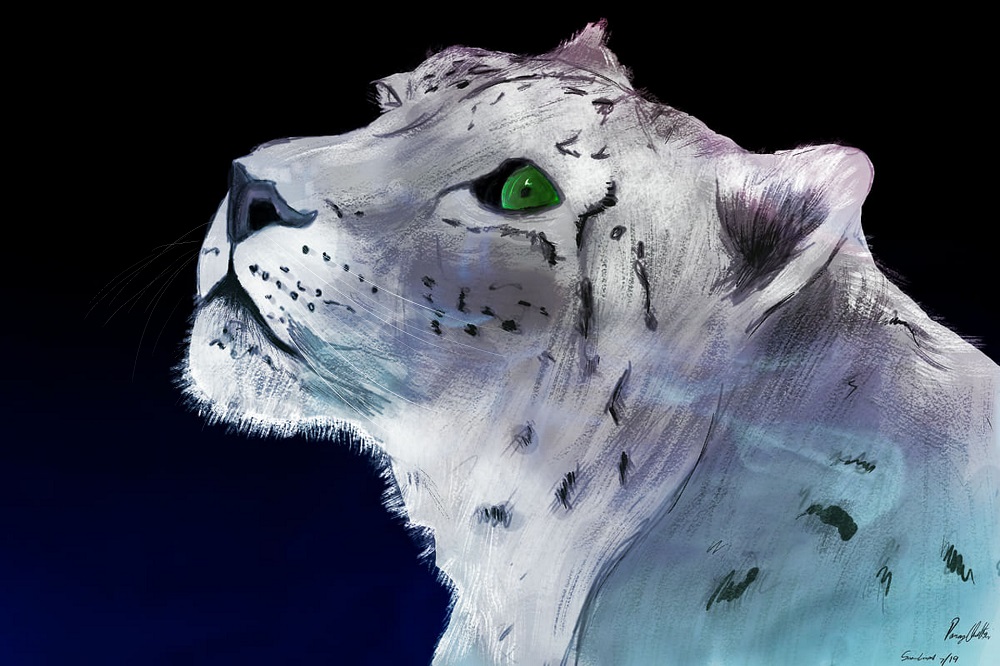 Winners of the Art & Poetry Contest - Capture the Spirit of the Snow ...