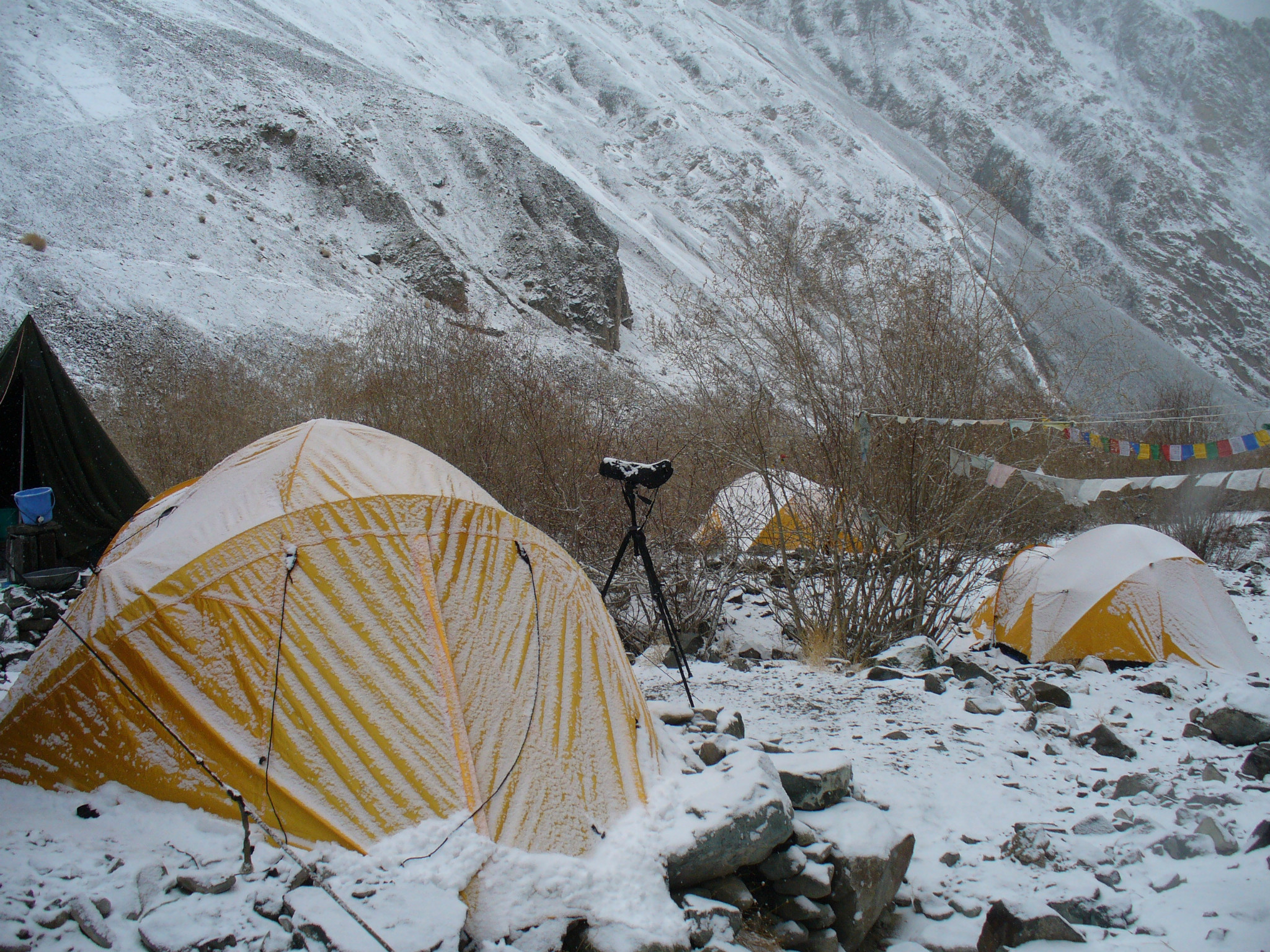 Trekking for Snow Leopards – Ecotourism & Conservation – Snow Leopard