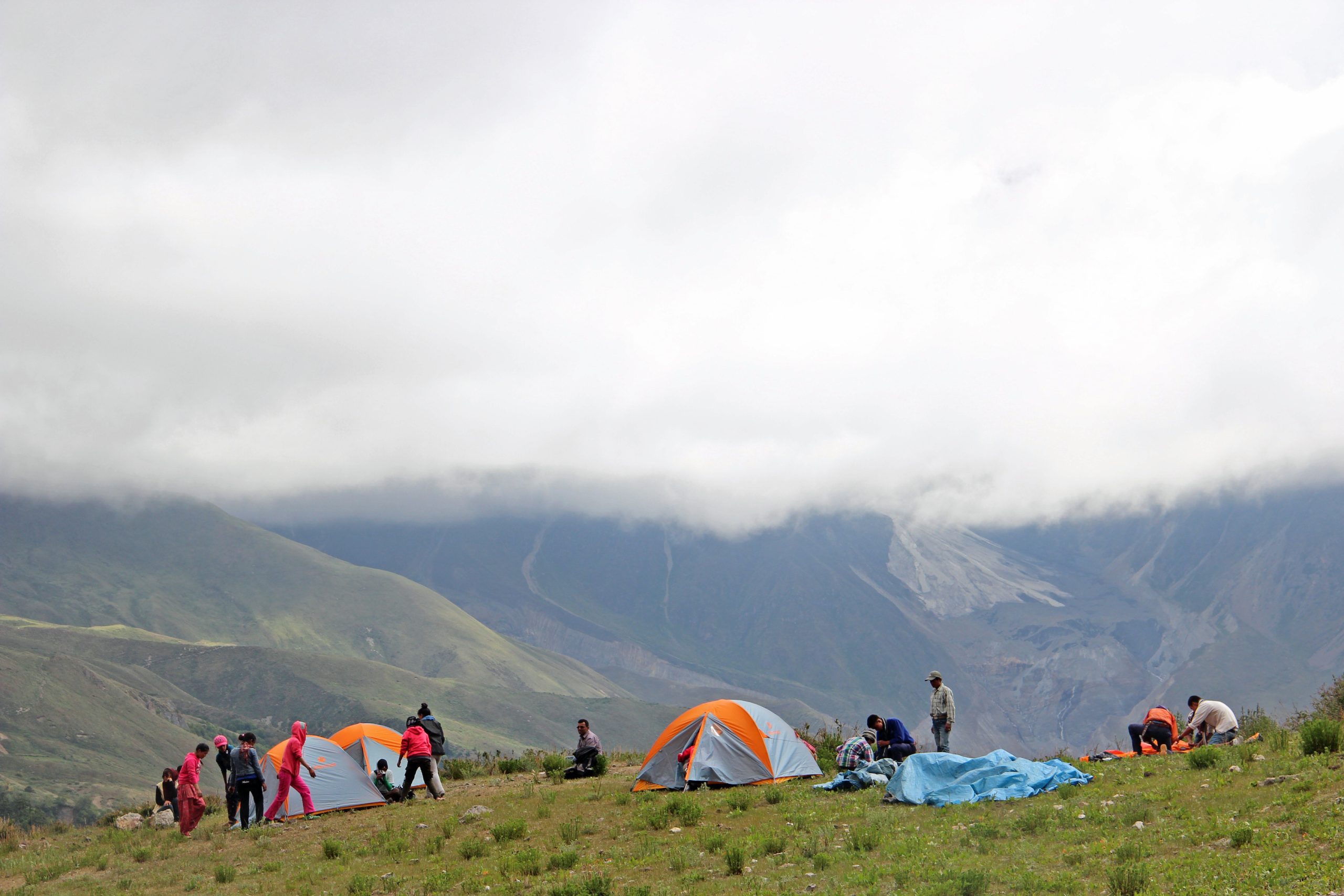 Summer Camp - Snow Leopard