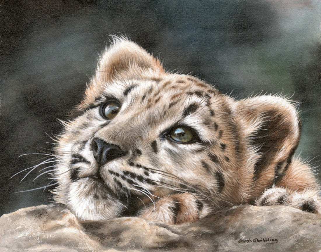 Artwork and Poetry Contest - Snow Leopard Conservancy