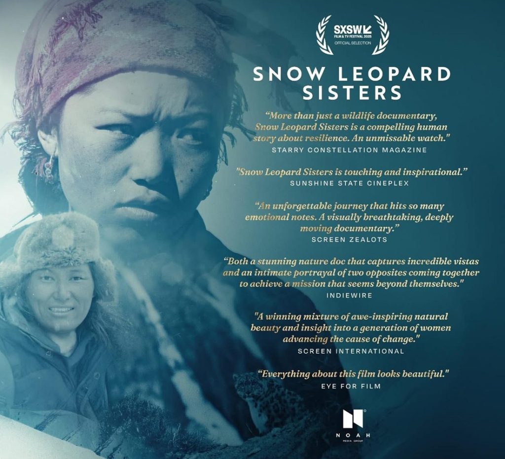 Snow Leopard Sisters Film Debuts - Snow Leopard Conservancy