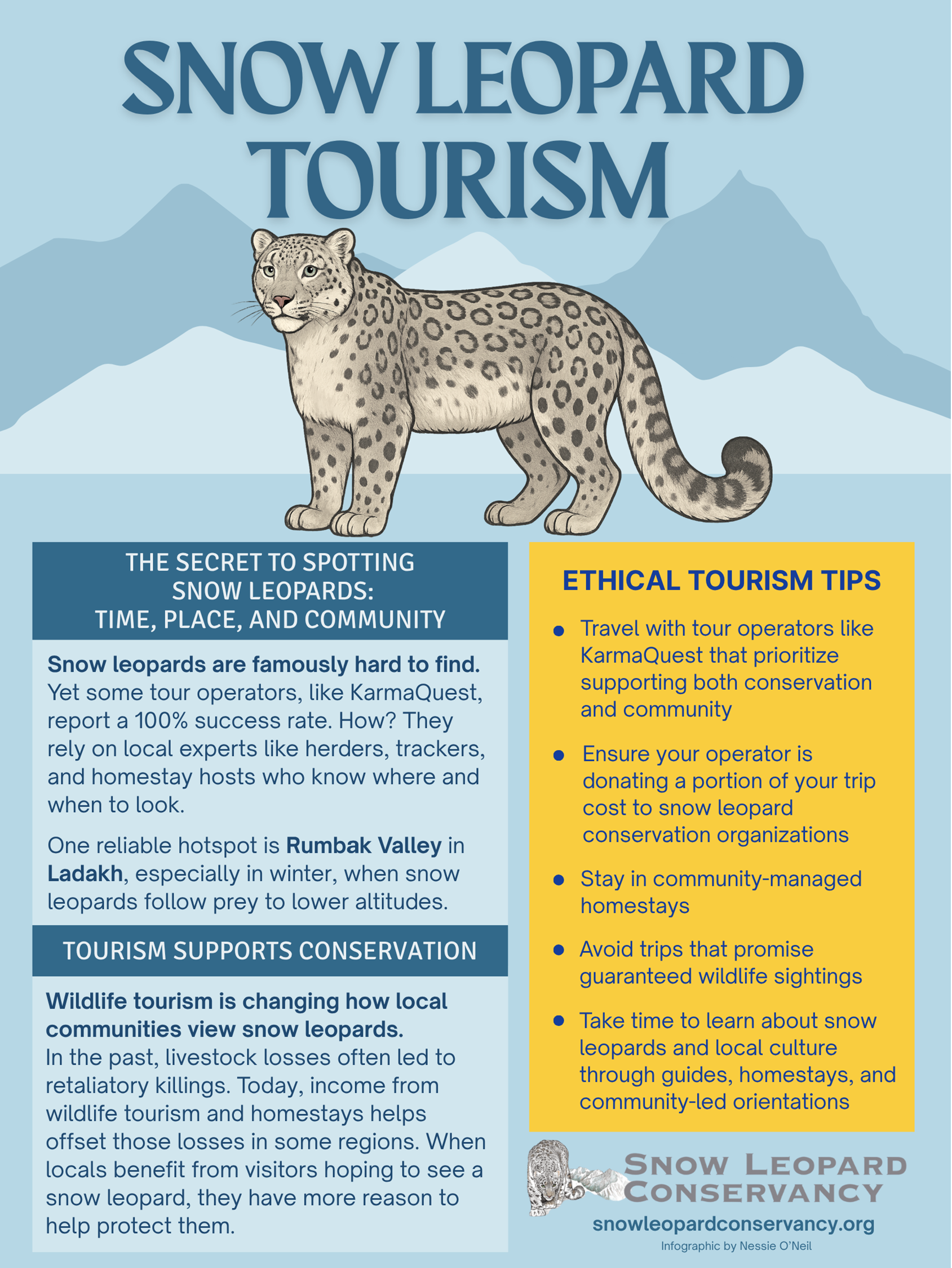 Snow Leopard Tourism - seeing snow leopards in the wild